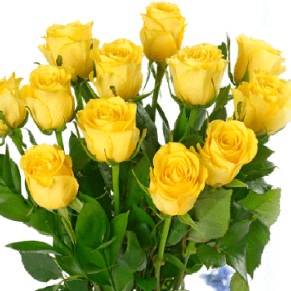 Buy Yellow Rose Bouquet Online - Black Tulip Flowers
