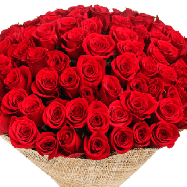 Buy Red Roses - Bouquet of 50 premium red roses - Black Tulip Flowers