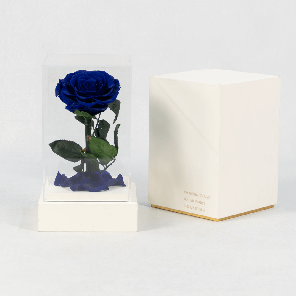The Unexpected Blue - Preserved Rose : Explore Preserved Flower in ...