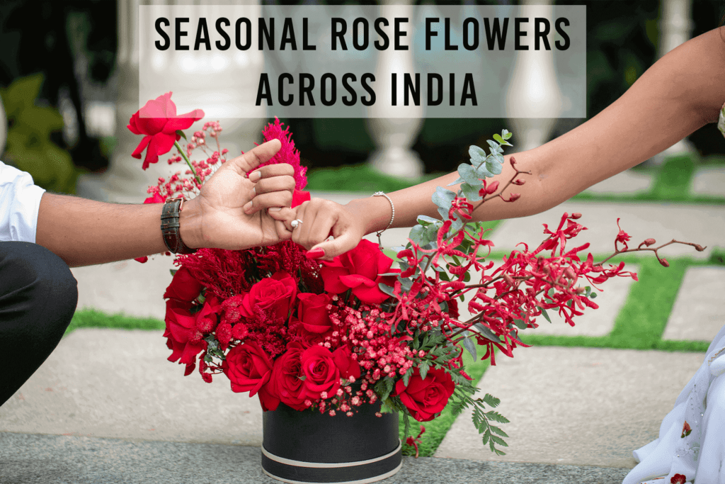 Rose Bouquet Delivery - Seasonal Rose Flowers Across India - Order Now ...