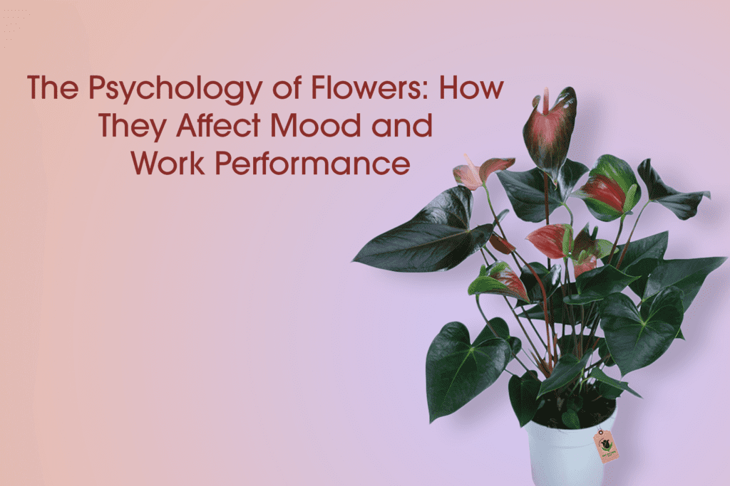 Psychology of Flowers: How They Affect Mood and Work