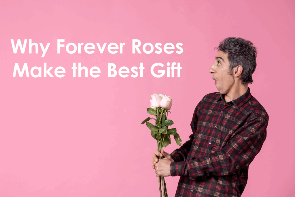 Why Preserved Roses Make the Best Gift? Real Roses That Last for Years