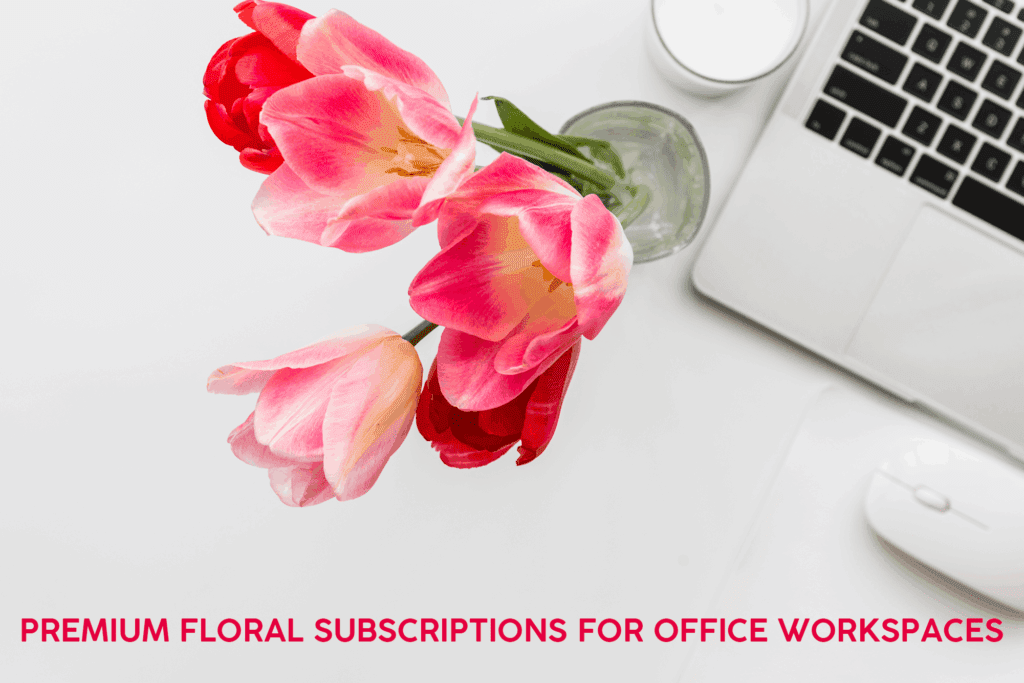 Premium Floral Subscriptions for Office Workspaces